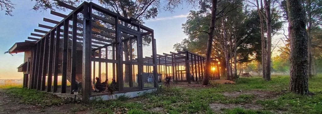 Predator Proof Chicken Coop | DIY Build